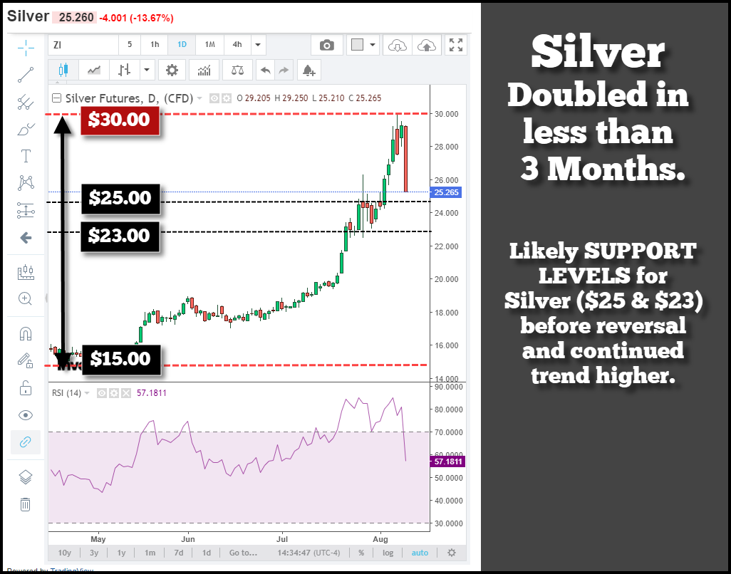 After The Large Silver Price Correction Today What s Next SilverSeek After The Large Silver Price Correction Today What s Next SilverSeek